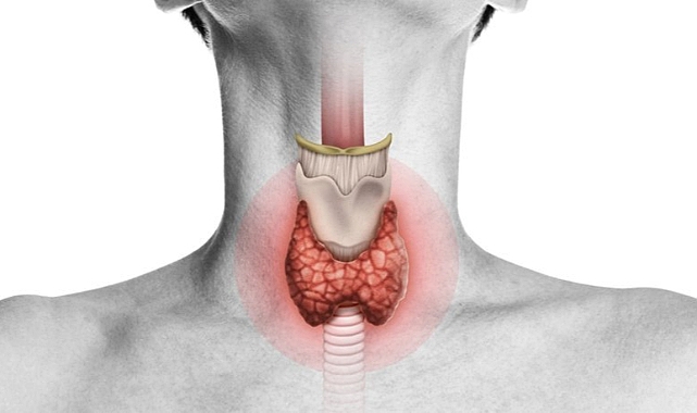 Tiroid Bezi İltihabı Nasıl Geçer? - Uncategorized - TamgaTürk
